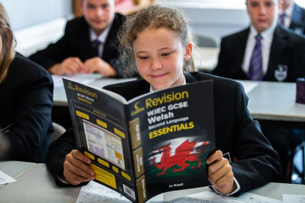 Skills - Chepstow School